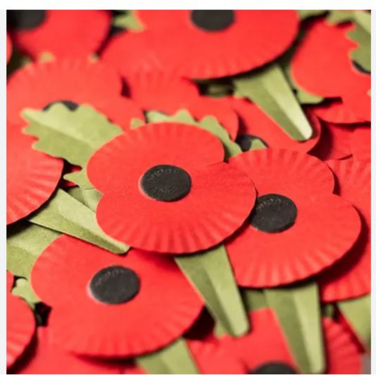 New Road Primary & Nursery School - Poppy Appeal 2023